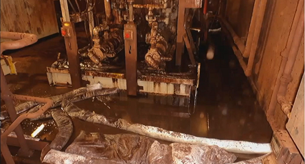 Defect Elimination of Dust Contamination - RELIABILITY CONNECT®